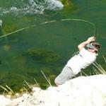 Classification - Cowardin