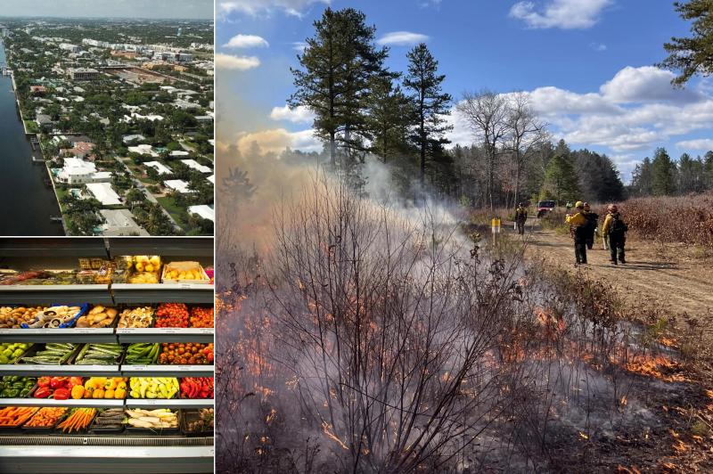 DSEA 2025 Storymap Collection