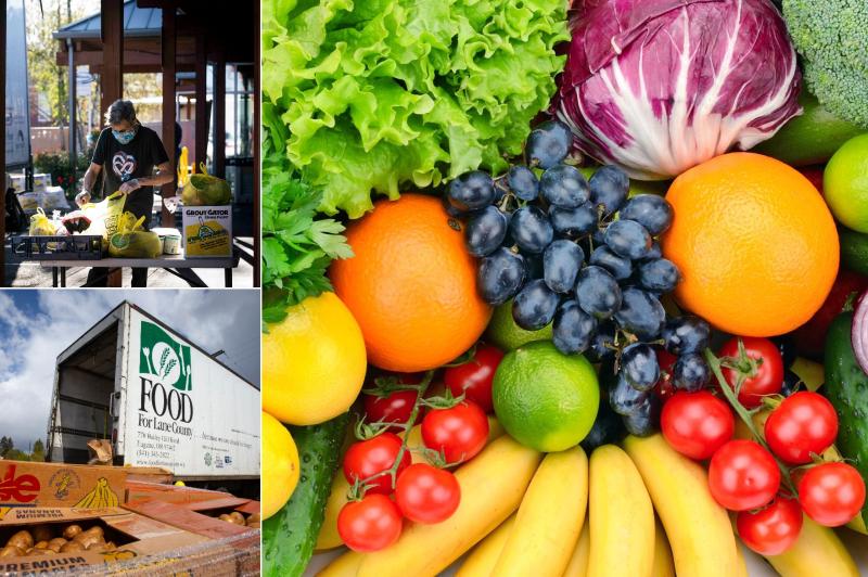 Food Distribution Performance Assessment