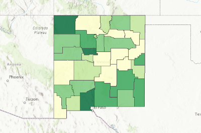 New Mexico Department of Health (DOH) Developmental Disabilities and ...